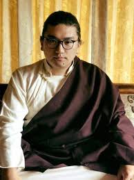 The Daily Buddhist Book - Pema + Brendan